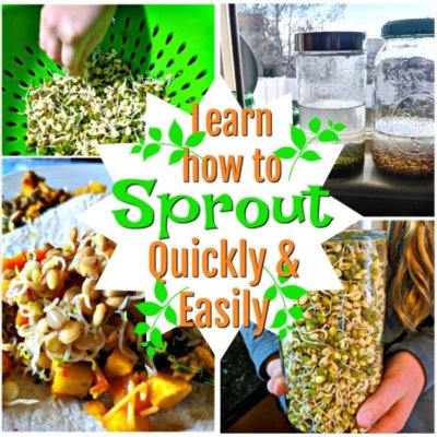 How To Sprout - Get Fresh Veggies in 3 Days Indoors - The Thrifty Couple